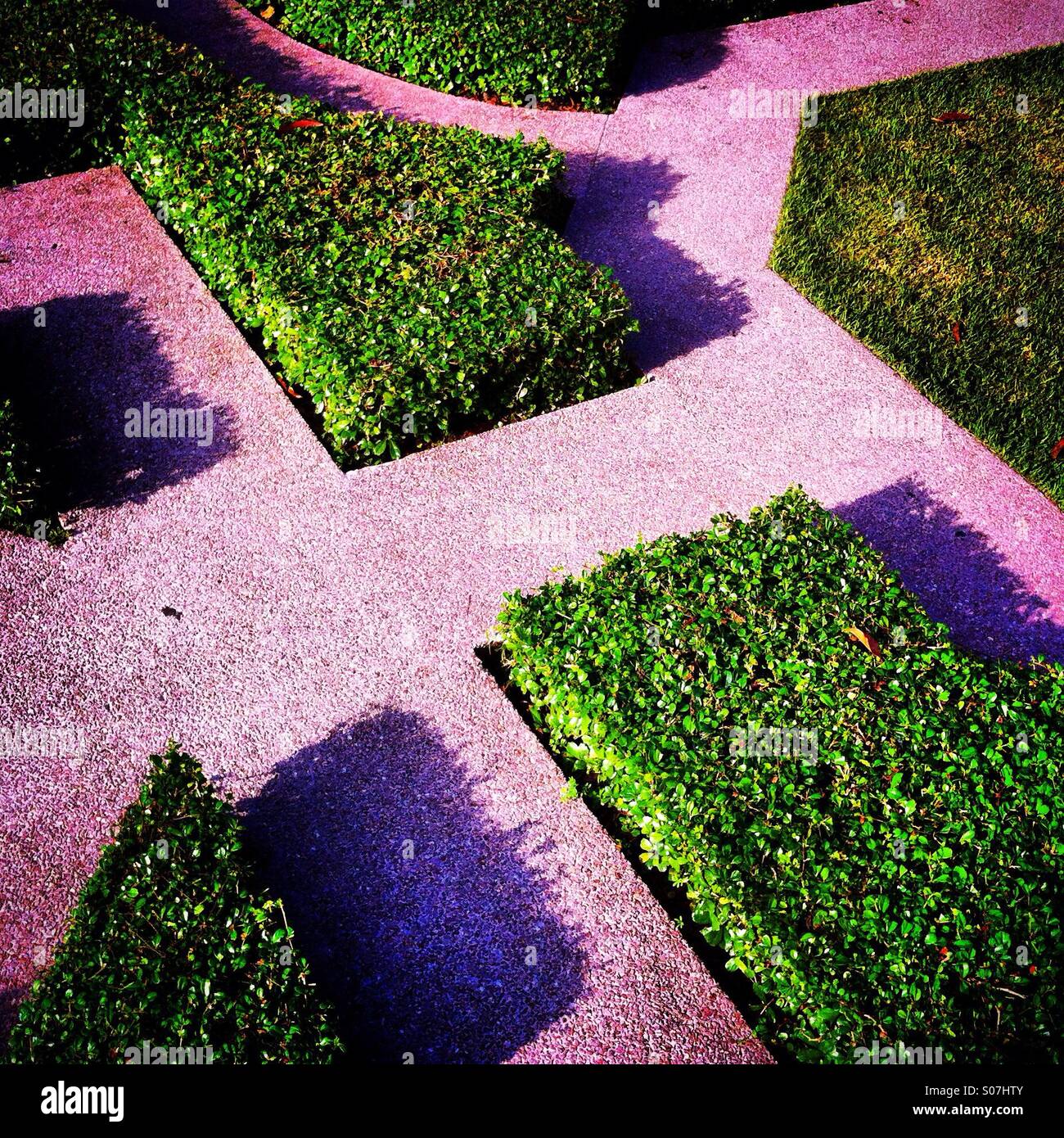 Bush labyrinth Banque de photographies et d’images à haute résolution ...