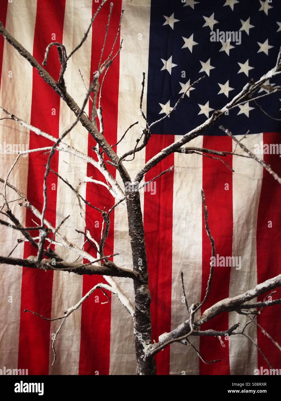Drapeau dans l'arbre Banque de photographies et d’images à haute ...
