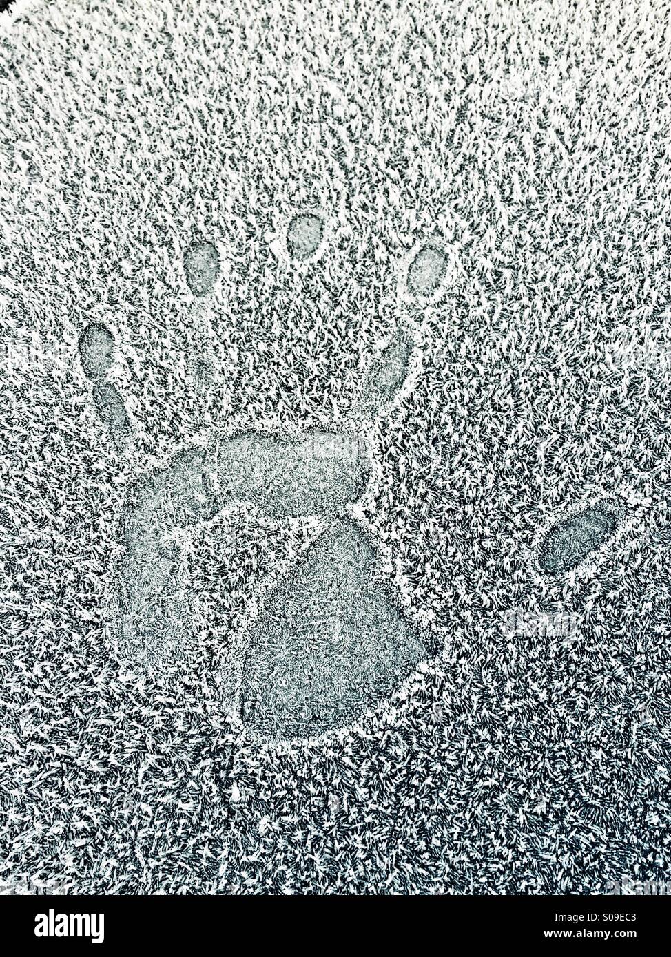 Main cool Banque de photographies et d’images à haute résolution - Alamy