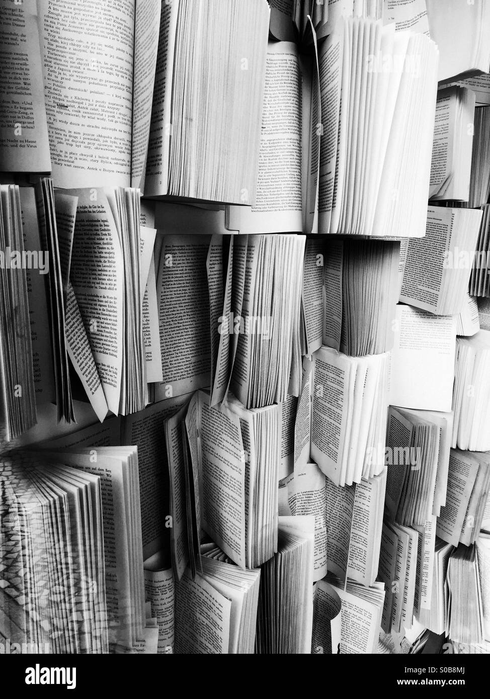 Livres ouverts Banque de photographies et d’images à haute résolution ...