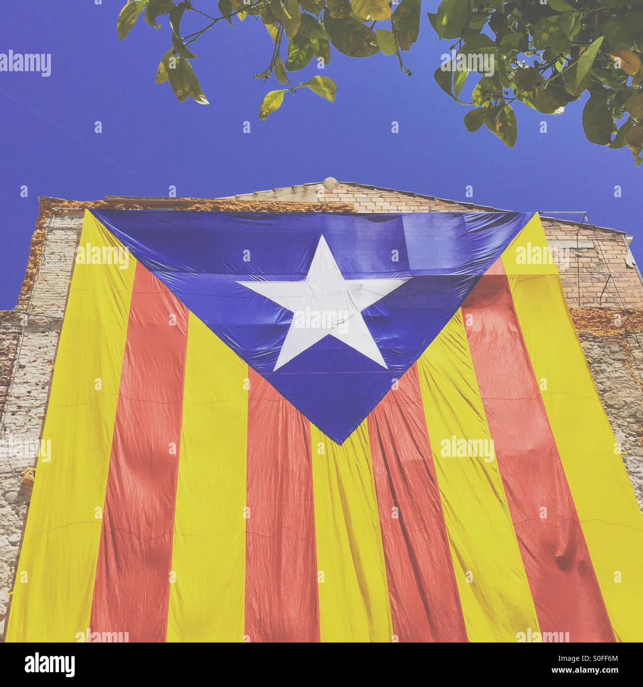 Drapeau catalan Banque de photographies et d’images à haute résolution ...