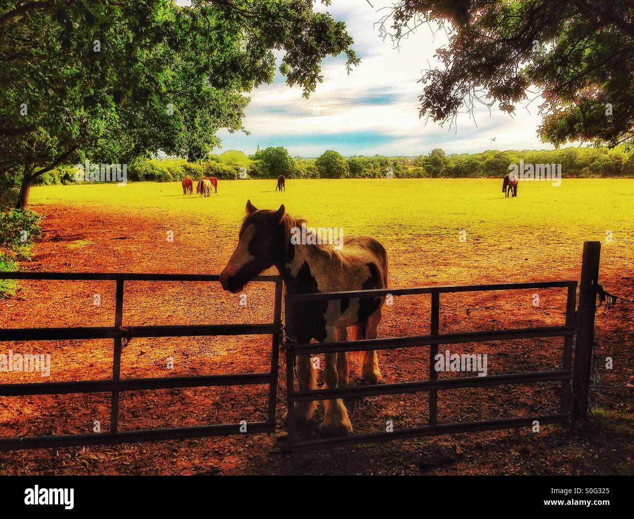 Domaine de kent Banque de photographies et d’images à haute résolution ...