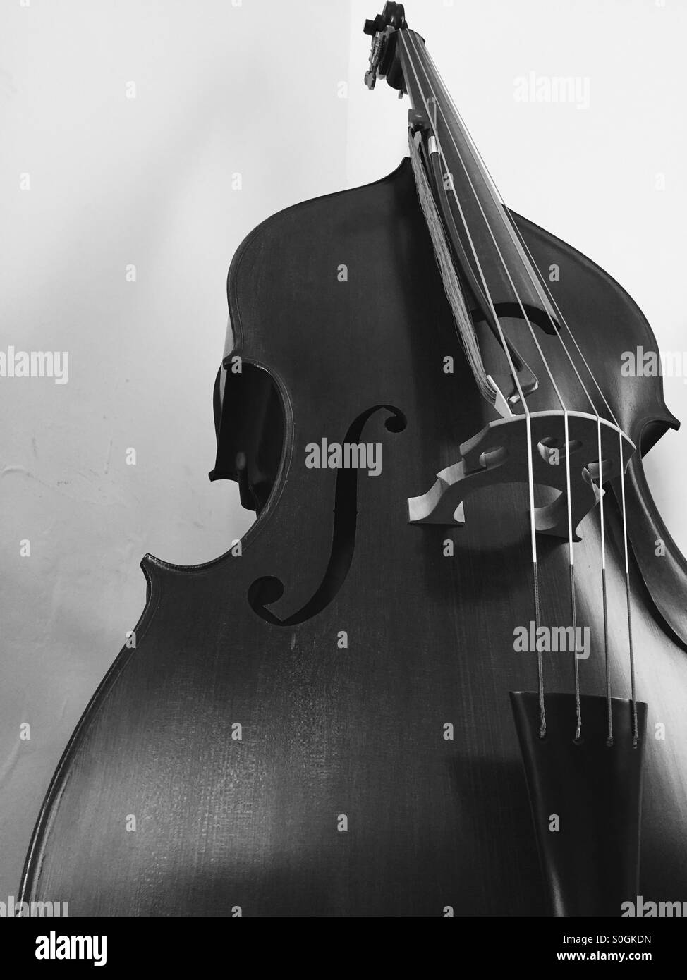 Beautiful double bass Banque d'images noir et blanc - Alamy