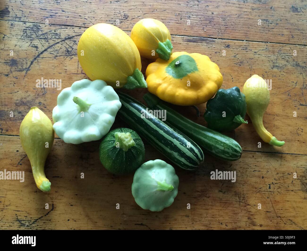 Variétés de courgettes rayées Banque de photographies et d’images à ...