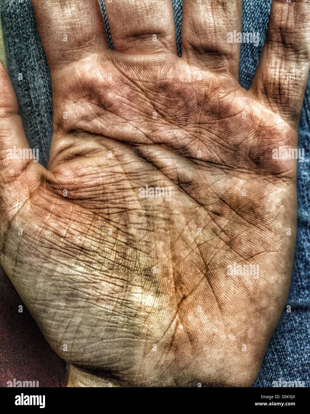 Pli palmaire transversal Banque de photographies et d’images à haute ...