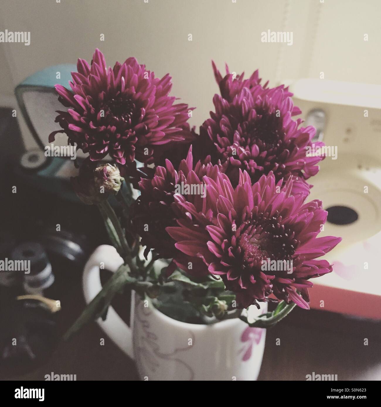 Belles fleurs marron Banque de photographies et d’images à haute ...