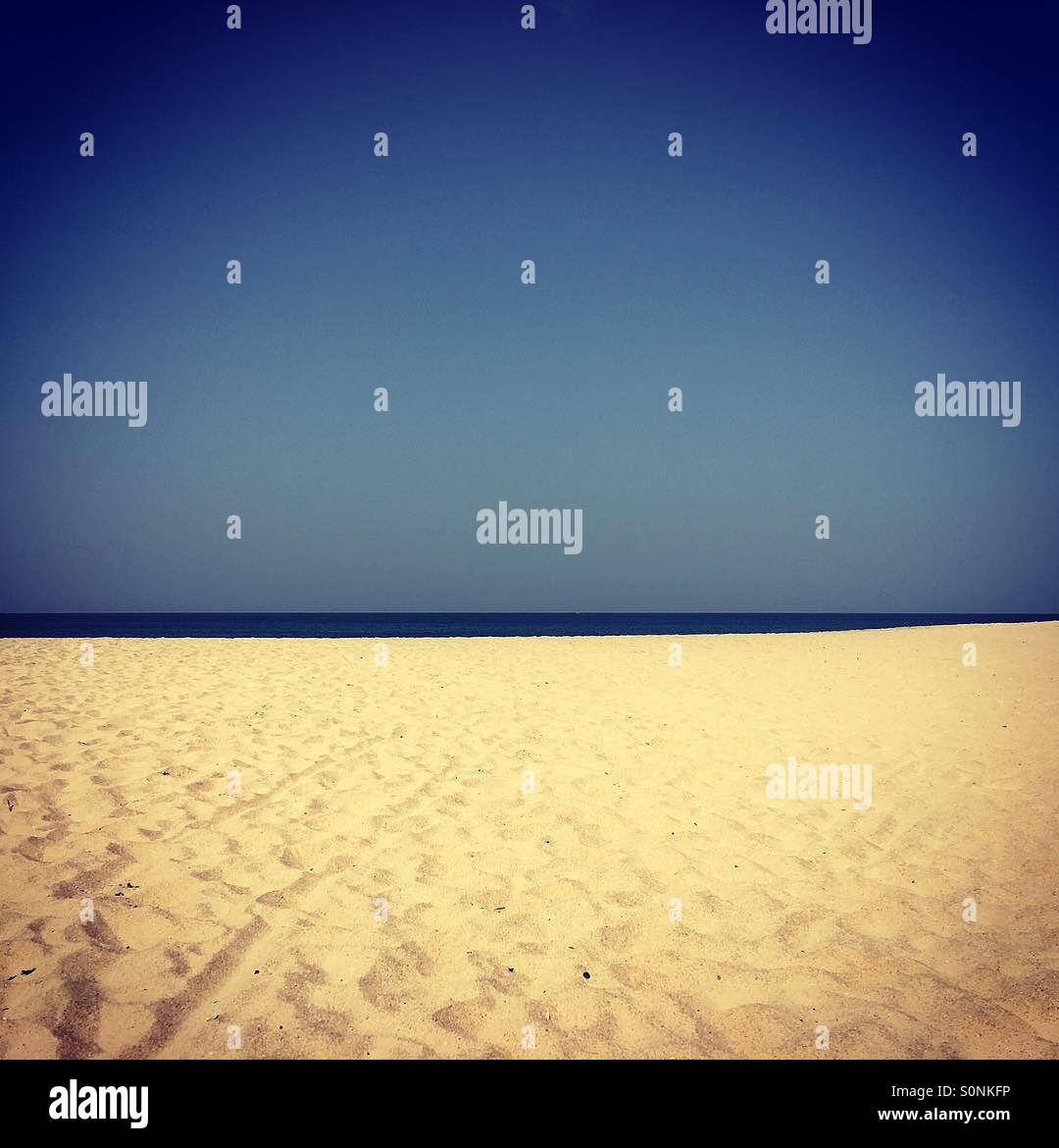 Ponta preta Banque de photographies et d’images à haute résolution - Alamy