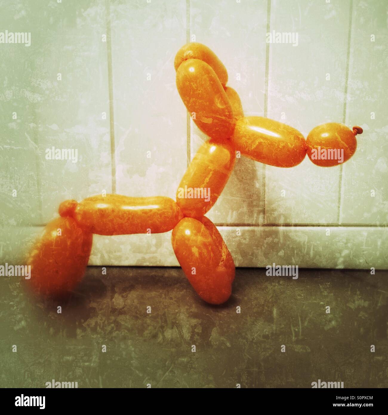 Ballon chien Banque de photographies et d’images à haute résolution - Alamy