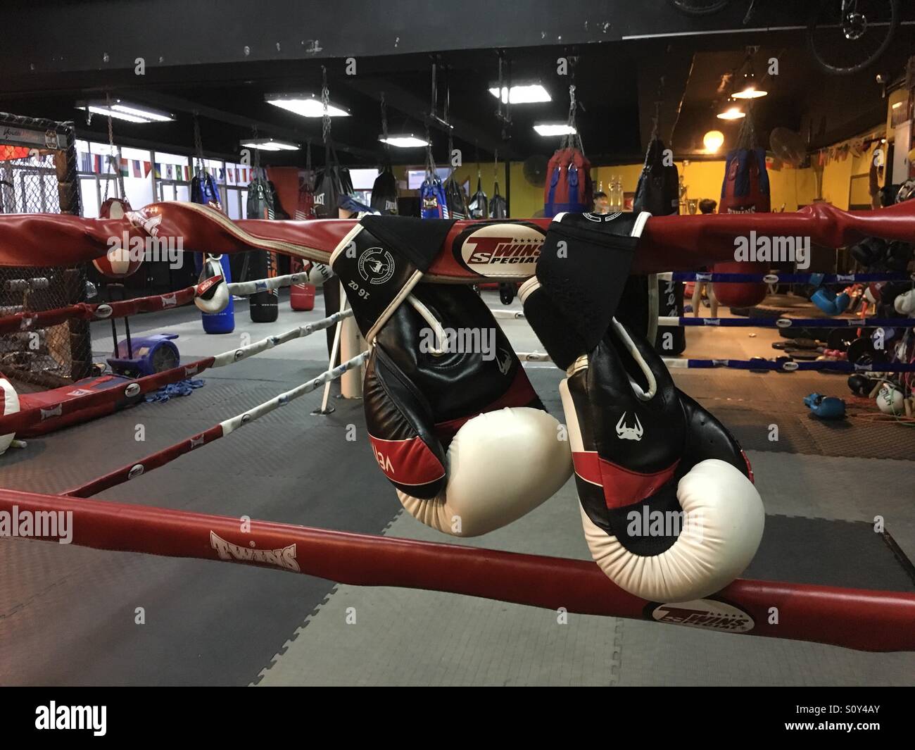 Ring de boxe Banque de photographies et d’images à haute résolution - Alamy