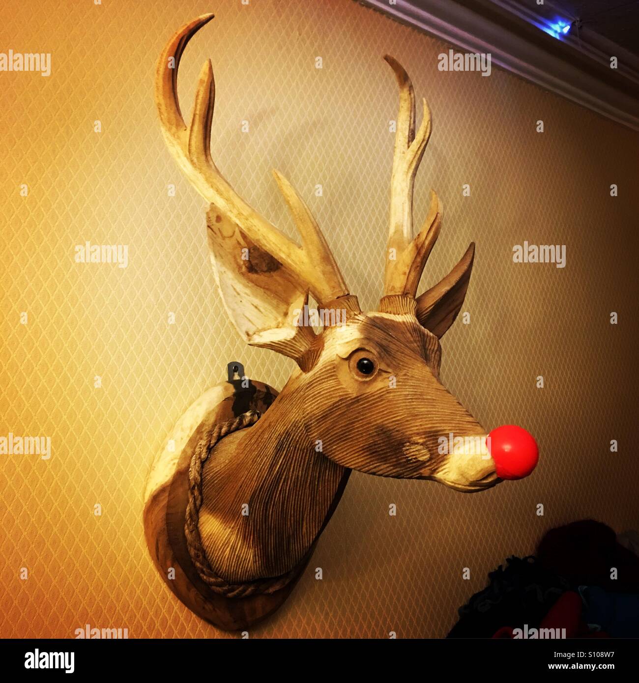 Renne au nez rouge Banque de photographies et d’images à haute ...