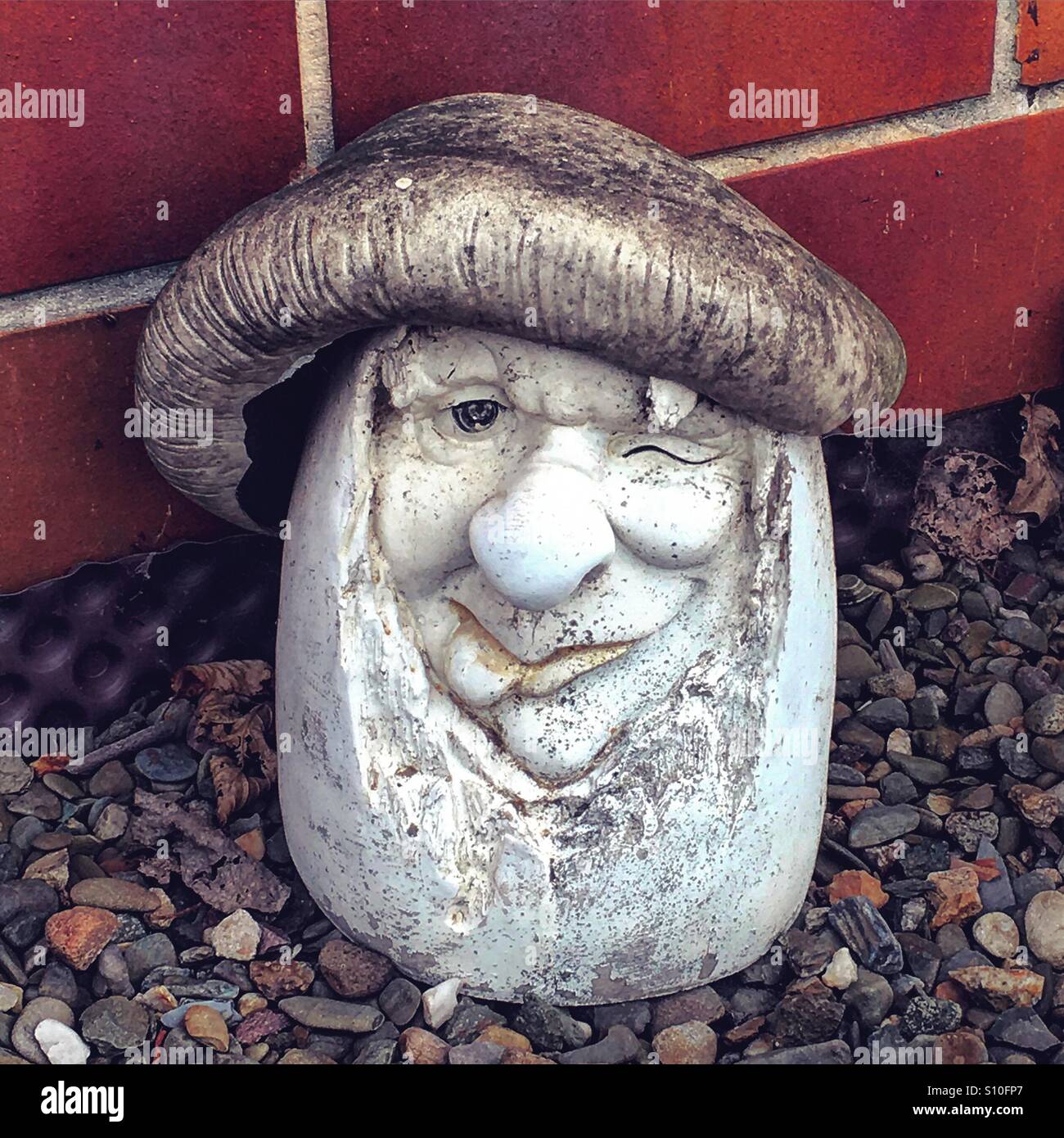 Visage de champignon Banque de photographies et d’images à haute ...