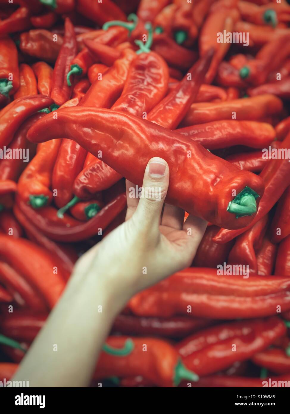 Gros piquant Banque de photographies et d’images à haute résolution - Alamy