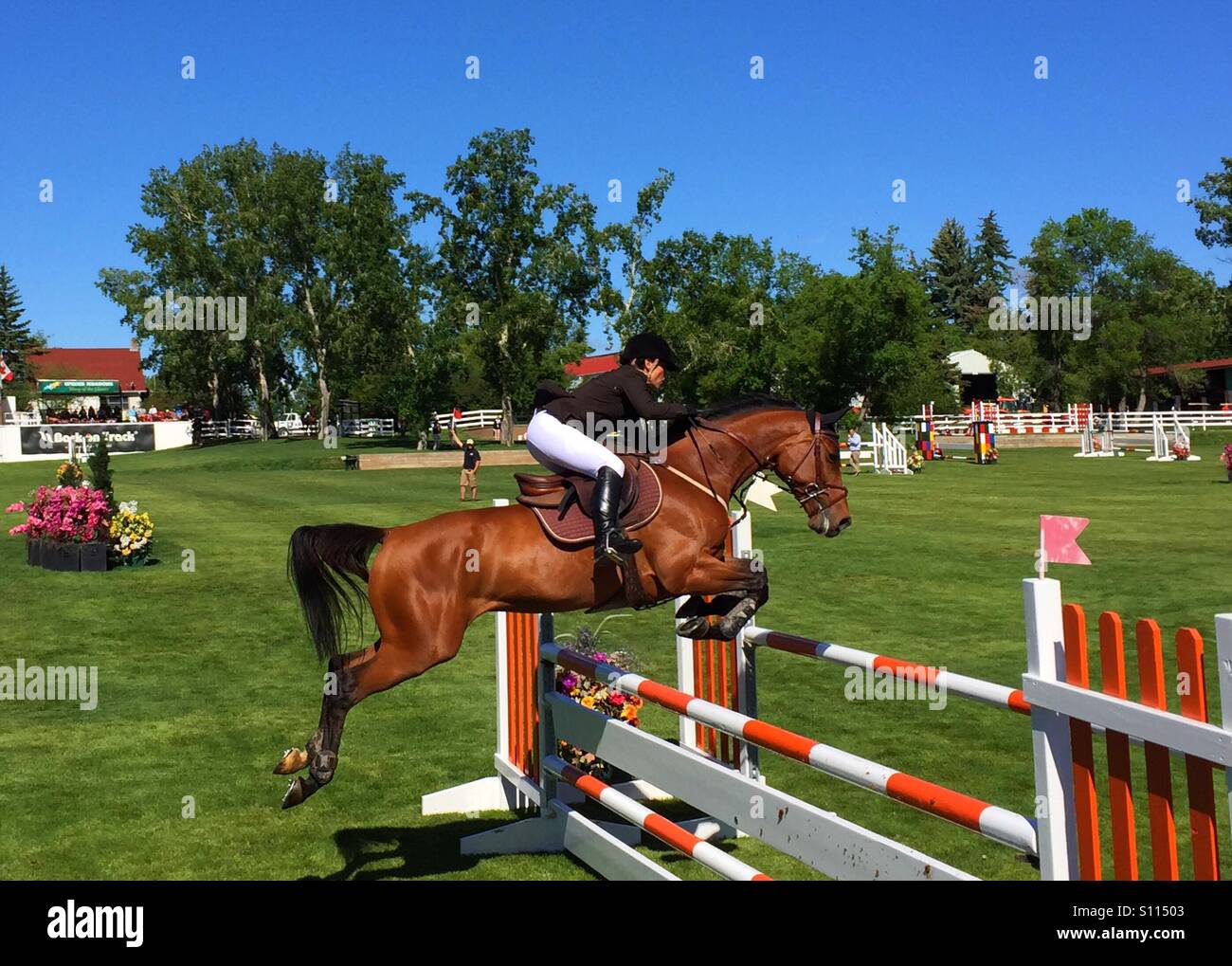 Show jumping oxer Banque de photographies et d’images à haute ...