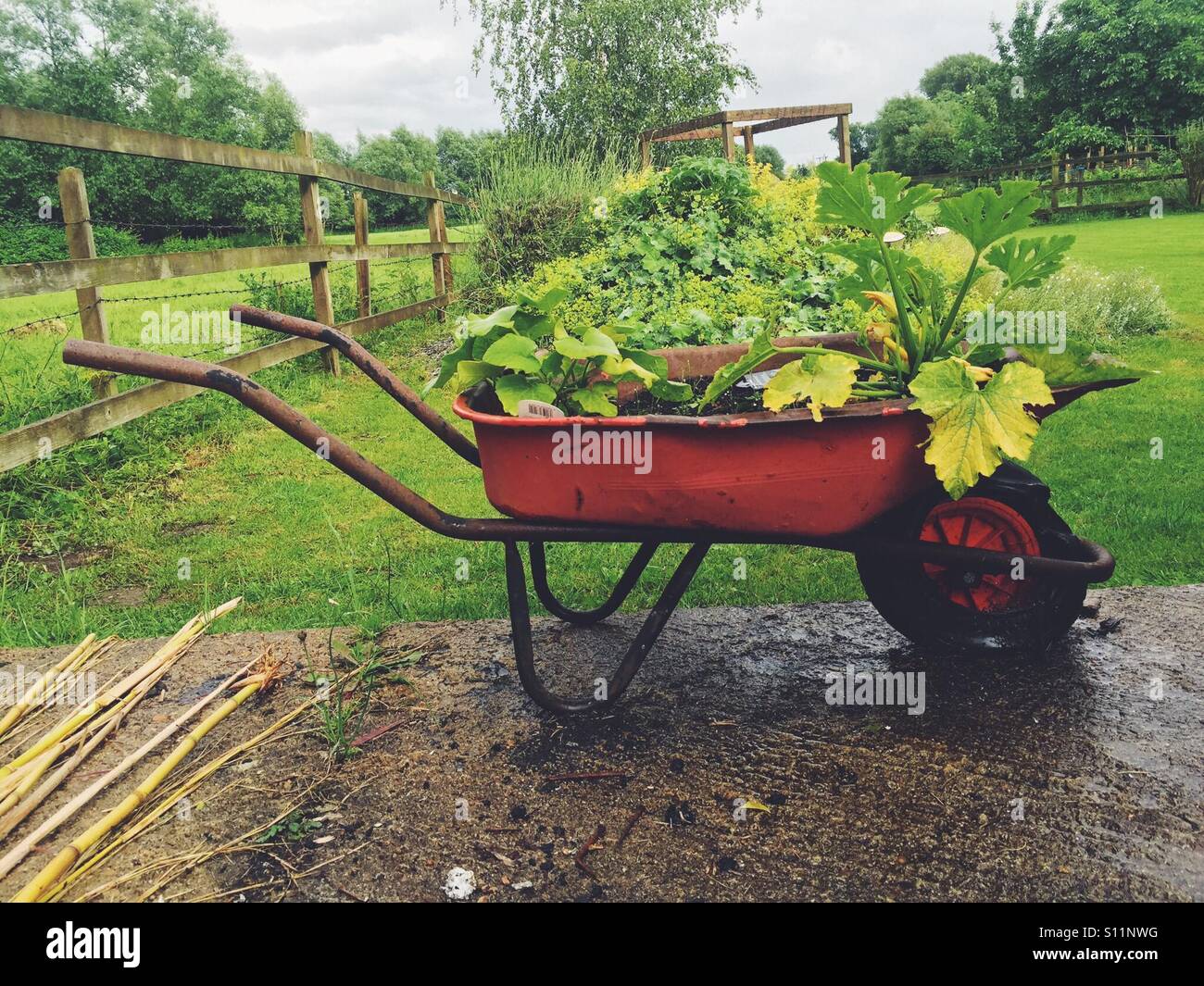 Brouette vintage Banque de photographies et d’images à haute résolution ...