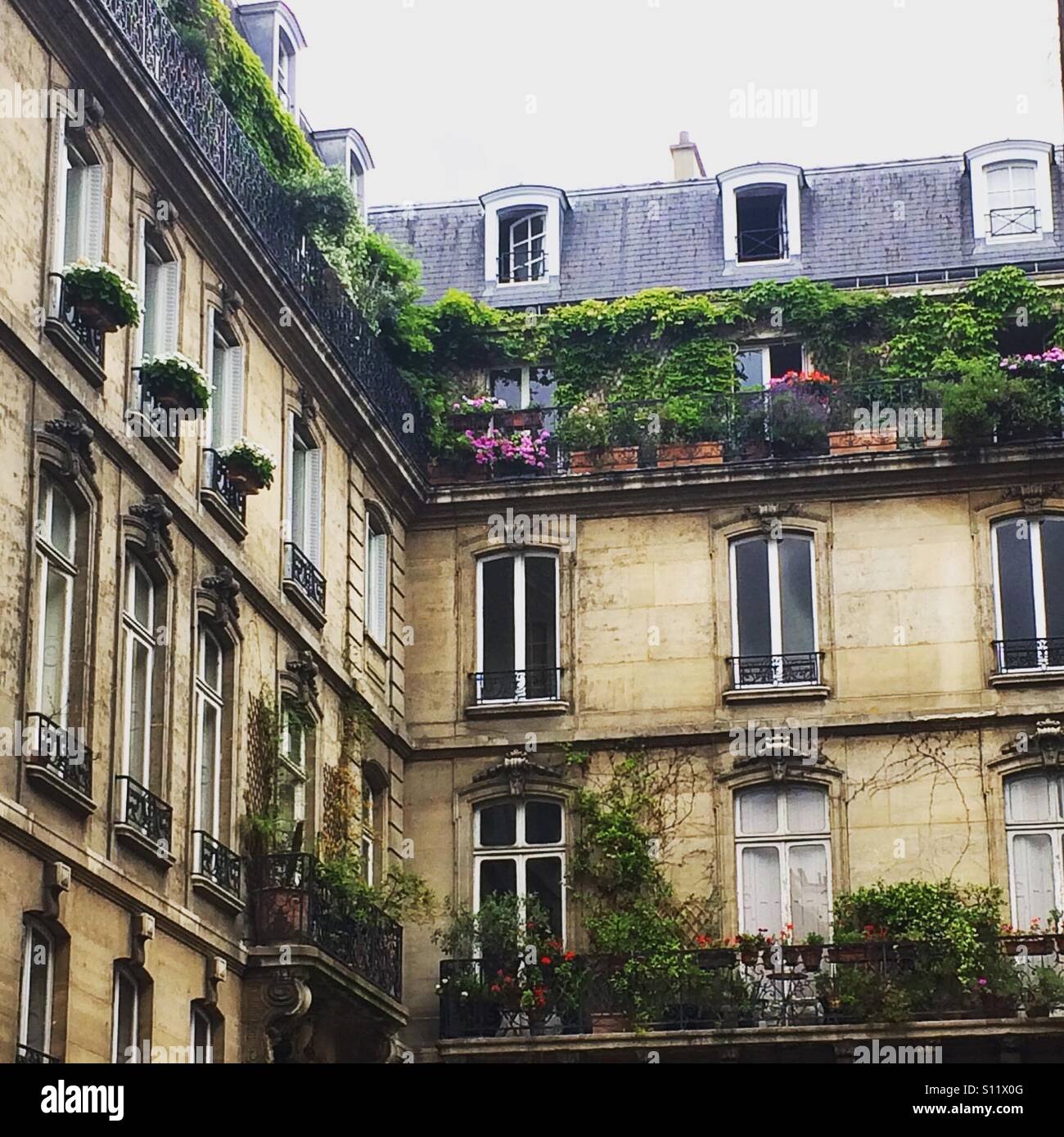 Immeuble Parisien Banque De Photographies Et Dimages à Haute