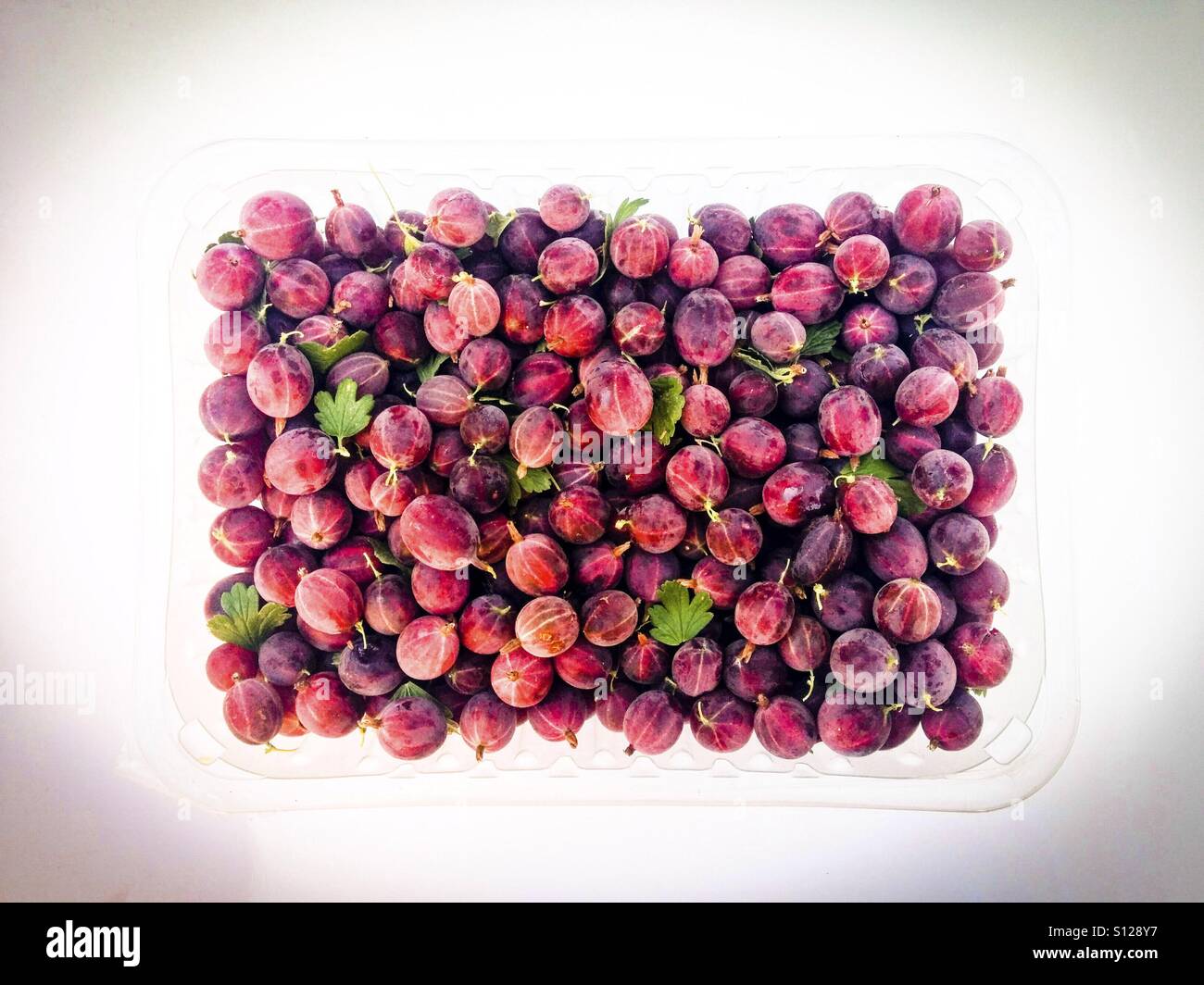 Groseilles noires Banque de photographies et d’images à haute ...