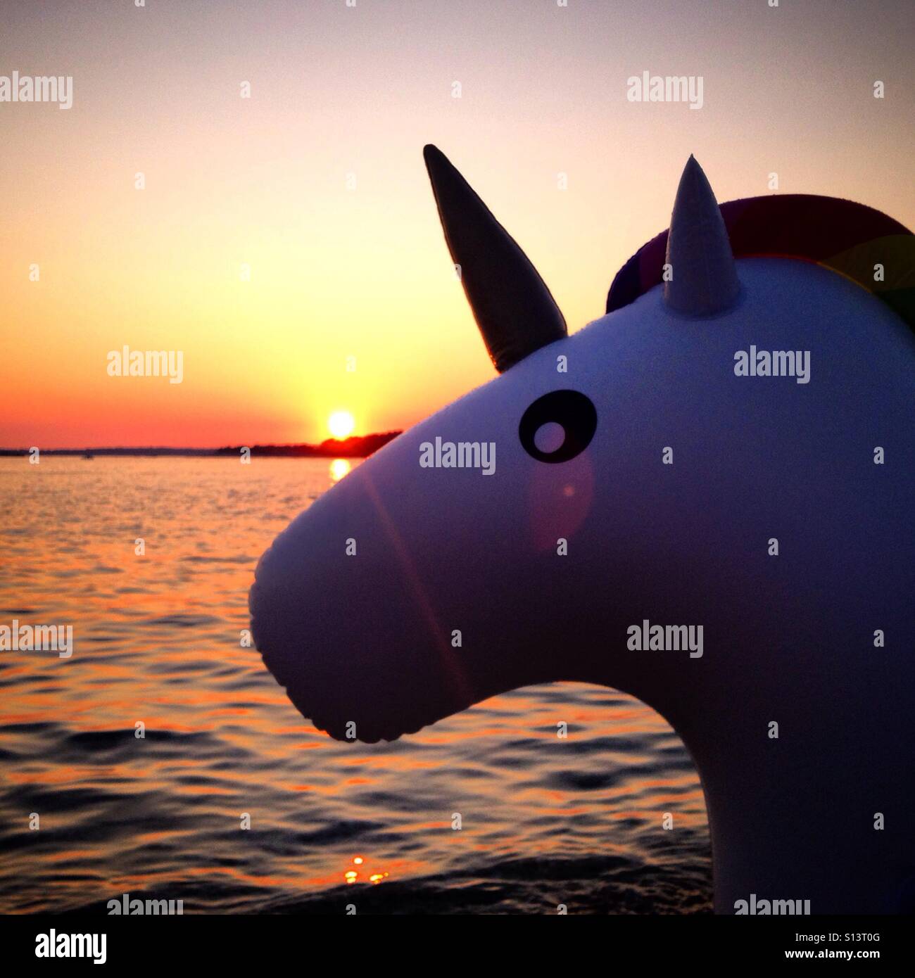 Licorne de mer Banque de photographies et d’images à haute résolution ...