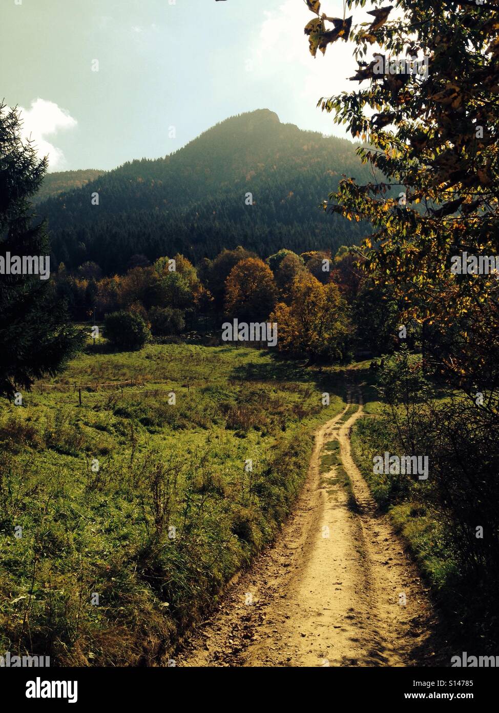 Voie d'automne Banque de photographies et d’images à haute résolution ...