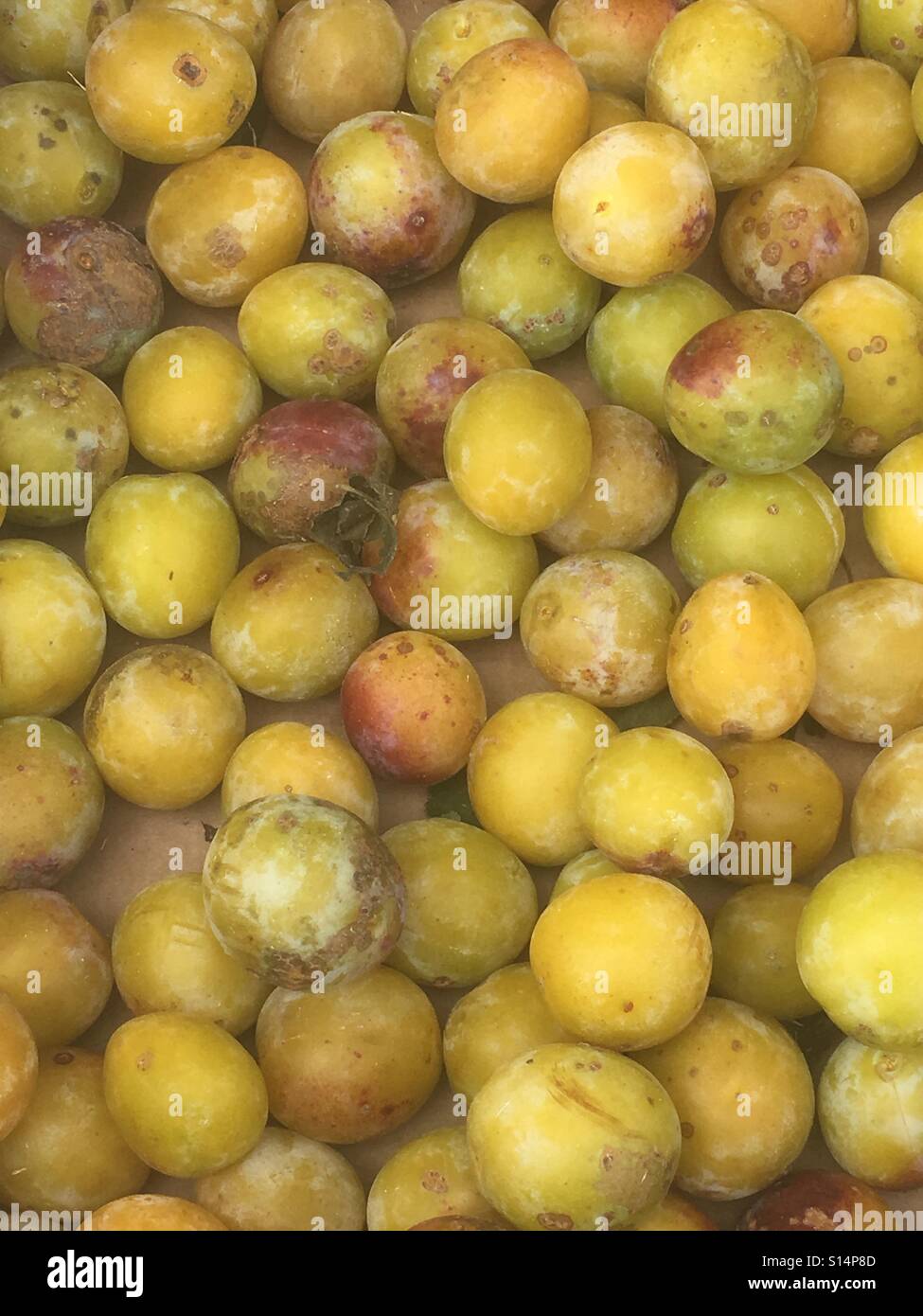 Fruit jaune Banque de photographies et d’images à haute résolution - Alamy