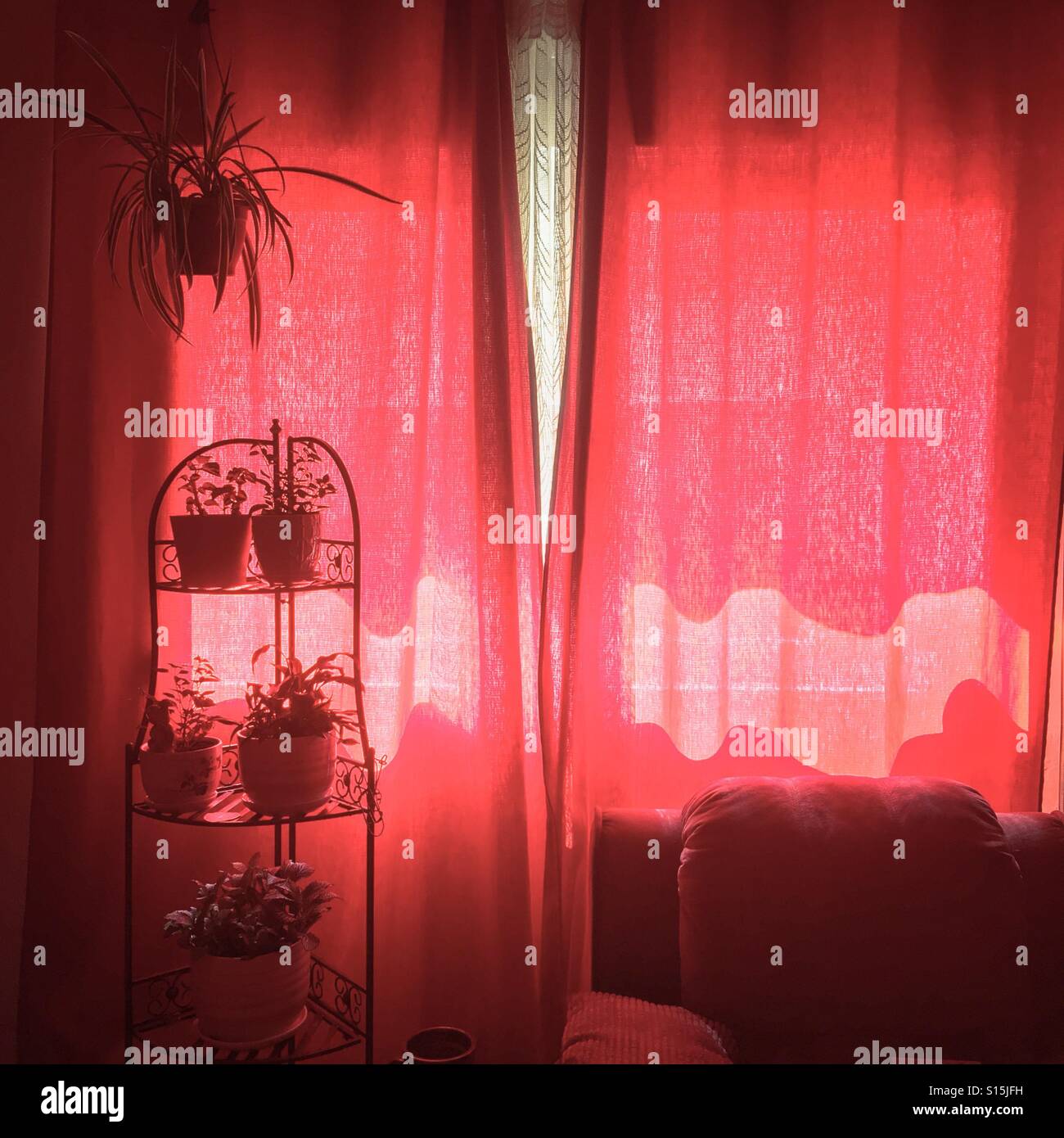 Rideaux Rouges Banque d'image et photos - Alamy