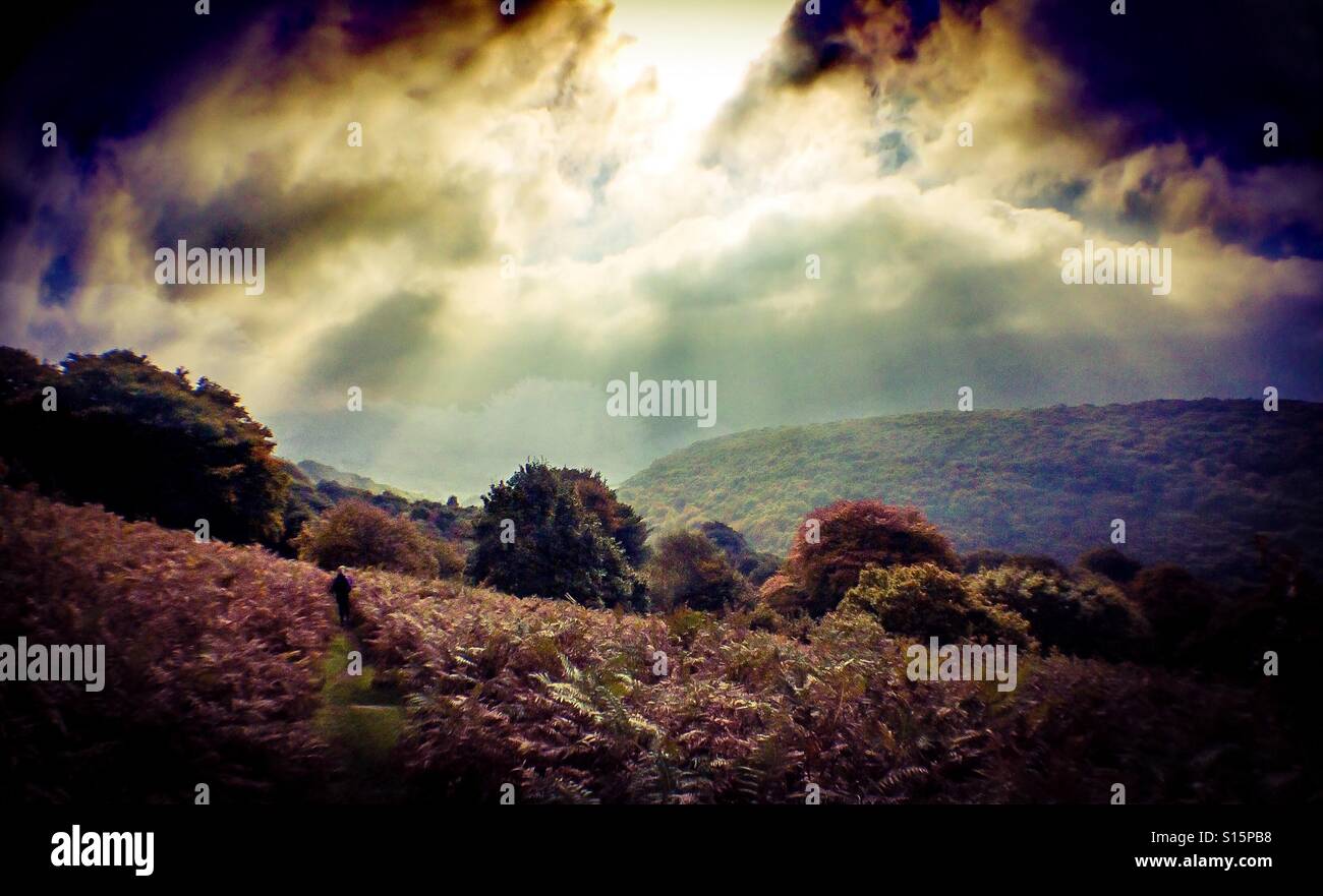 Soleil qui traverse les nuages Banque de photographies et d’images à ...