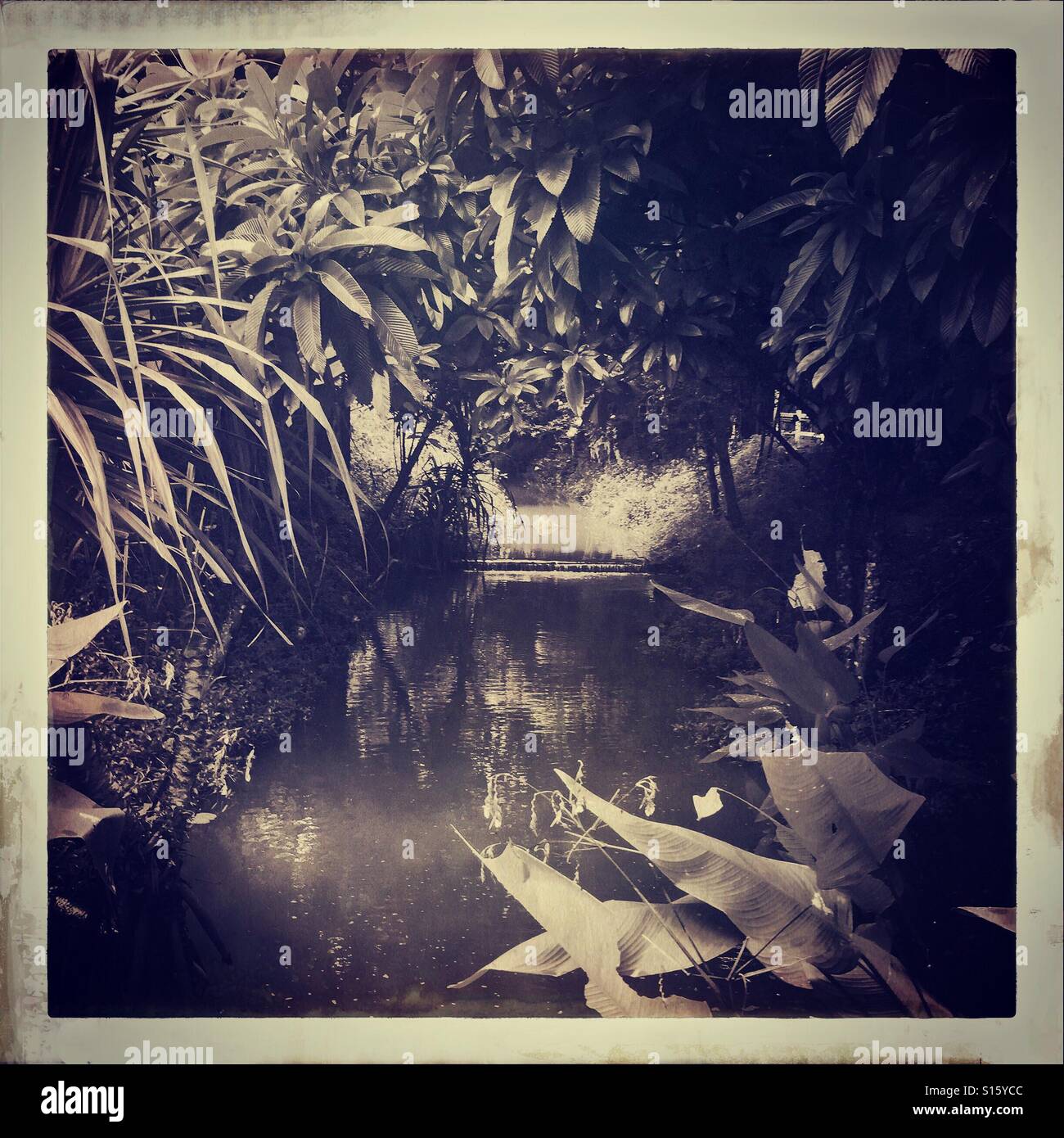 Pai river Banque de photographies et d’images à haute résolution - Alamy