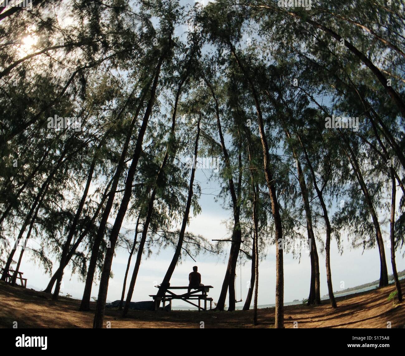 Silhouette solitaire Banque de photographies et d’images à haute ...