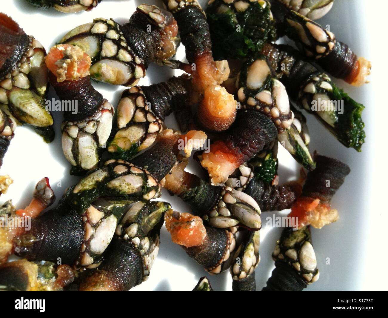 Percebes, galicia Banque de photographies et d’images à haute ...