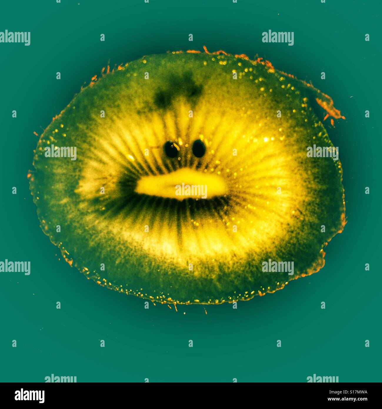 Face kiwi Banque de photographies et d’images à haute résolution - Alamy