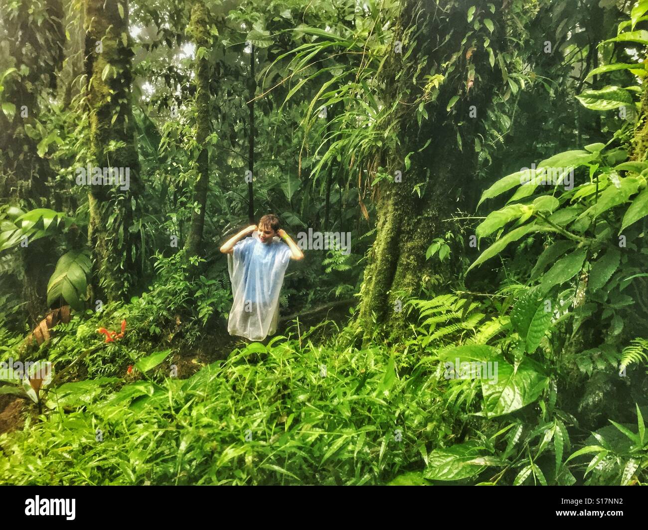 Forêt tropicale de costa rica Banque de photographies et d’images à ...