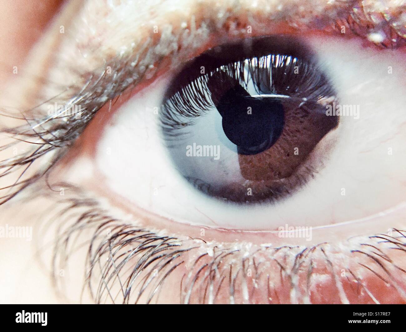 œil pupille Banque de photographies et d’images à haute résolution - Alamy