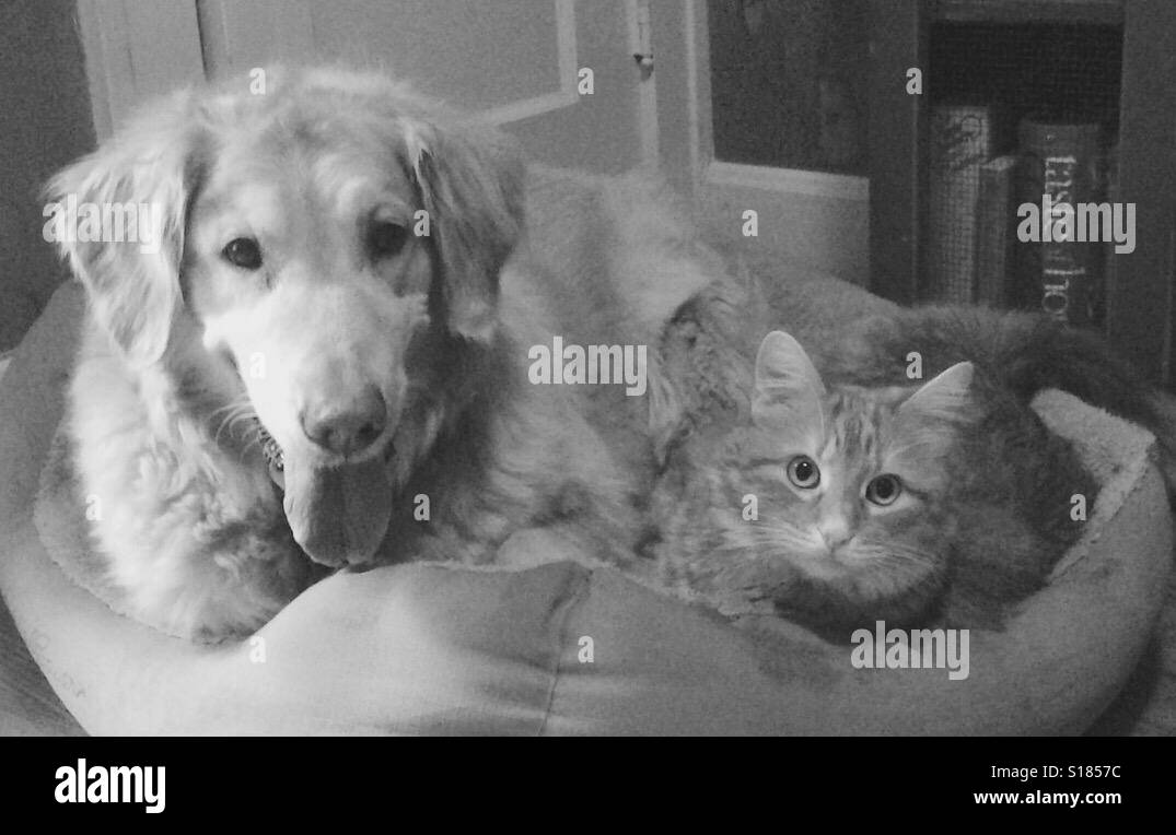 Meilleure amies Banque d'images noir et blanc - Alamy