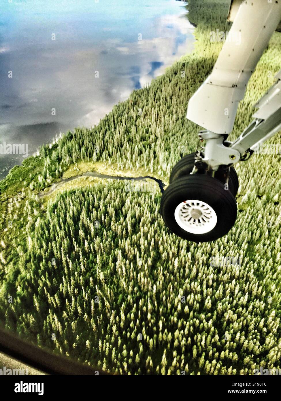 Avion survolant la forêt Banque de photographies et d’images à haute ...