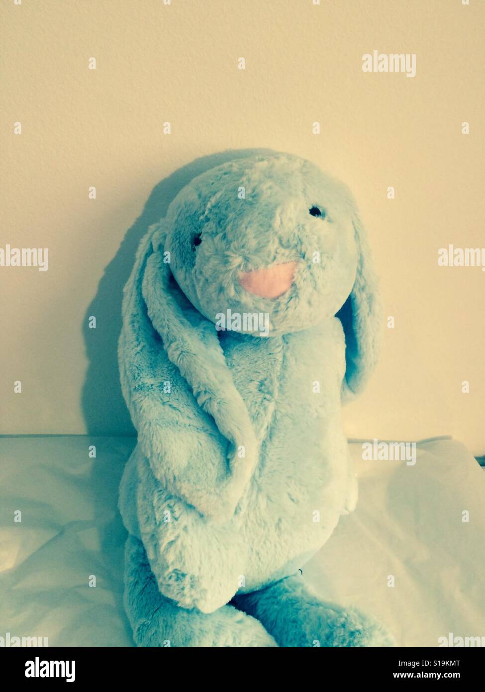 Lapin bleu Banque de photographies et d’images à haute résolution - Alamy