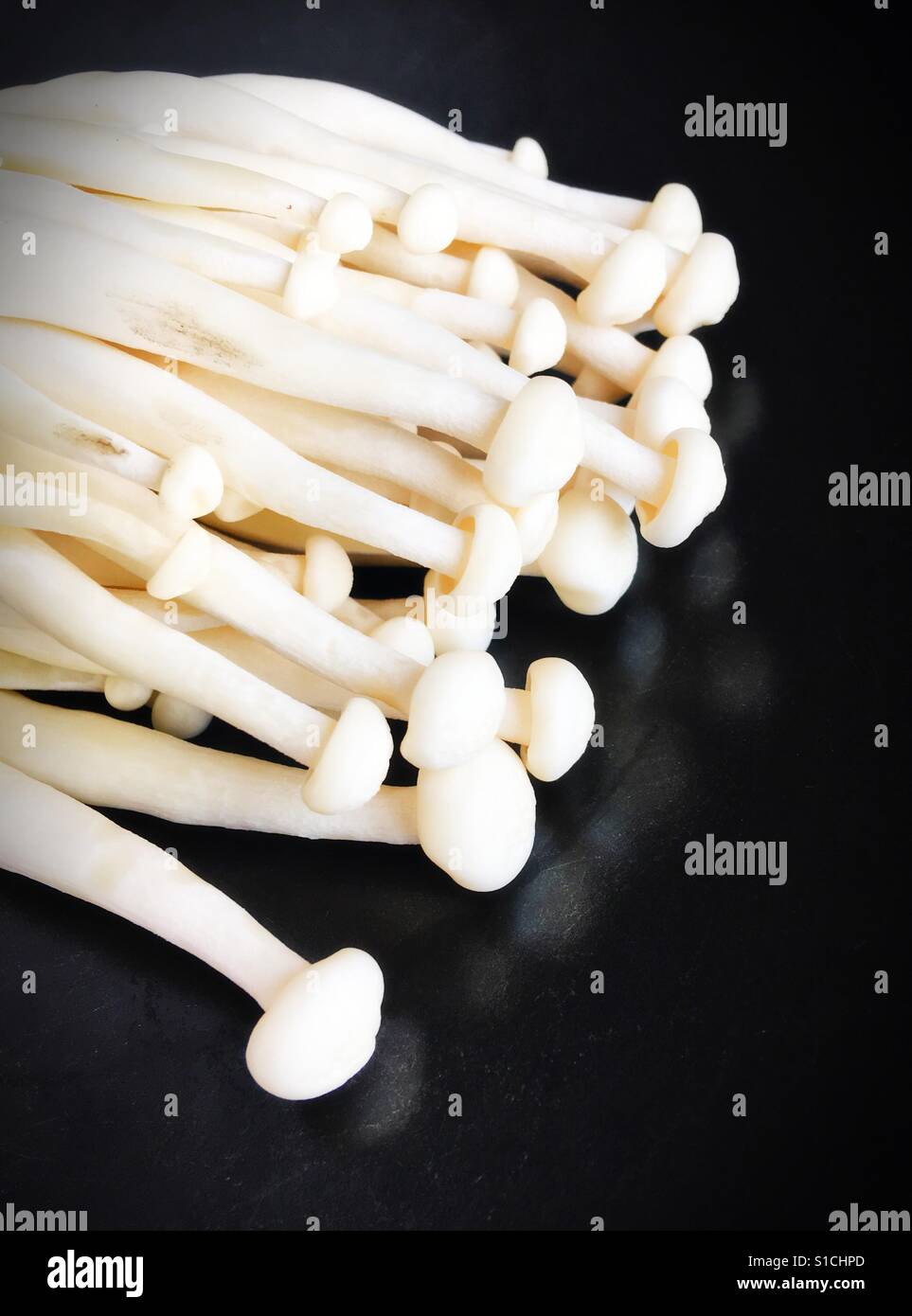 Champignons enoki sur une assiette blanche Banque de photographies et d ...