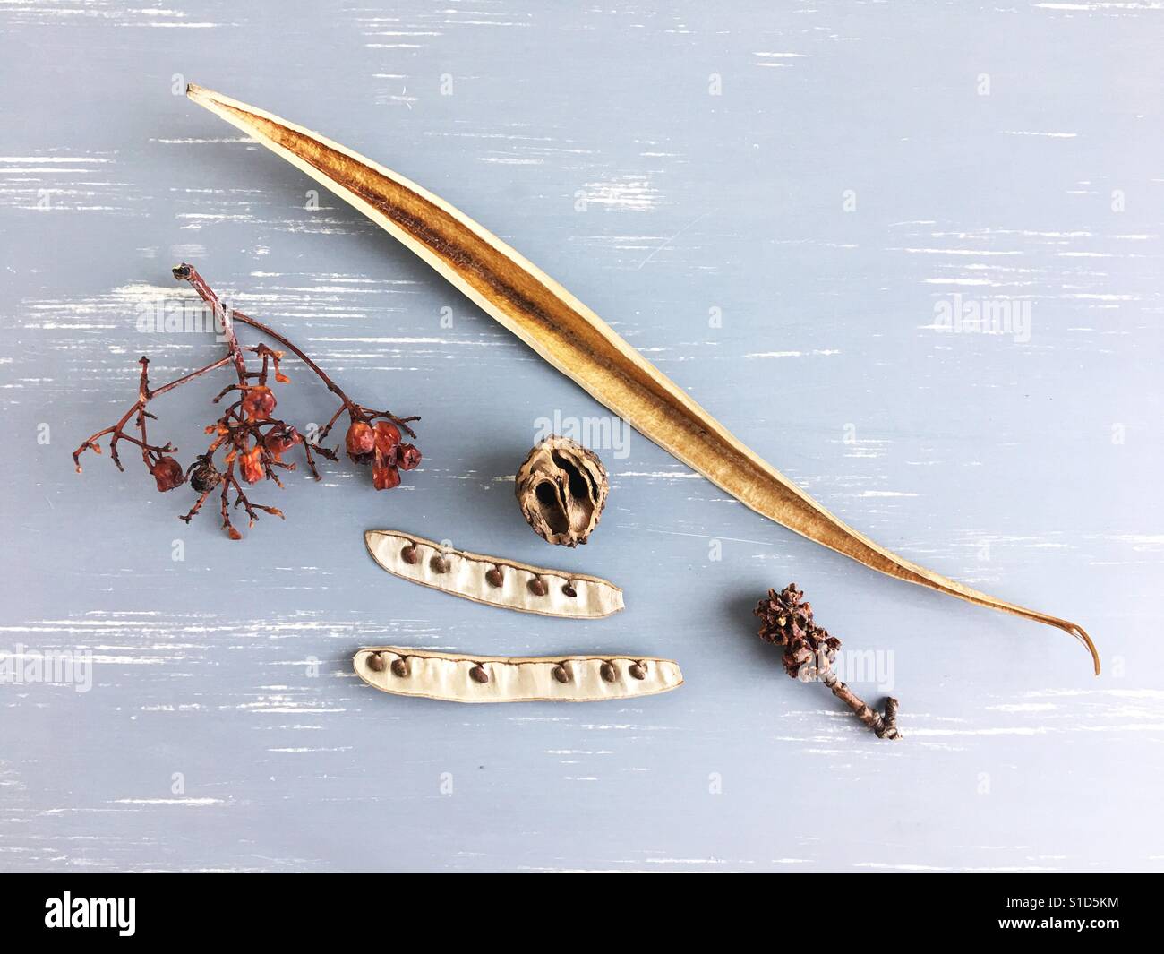 Nature encore Banque de photographies et d’images à haute résolution ...