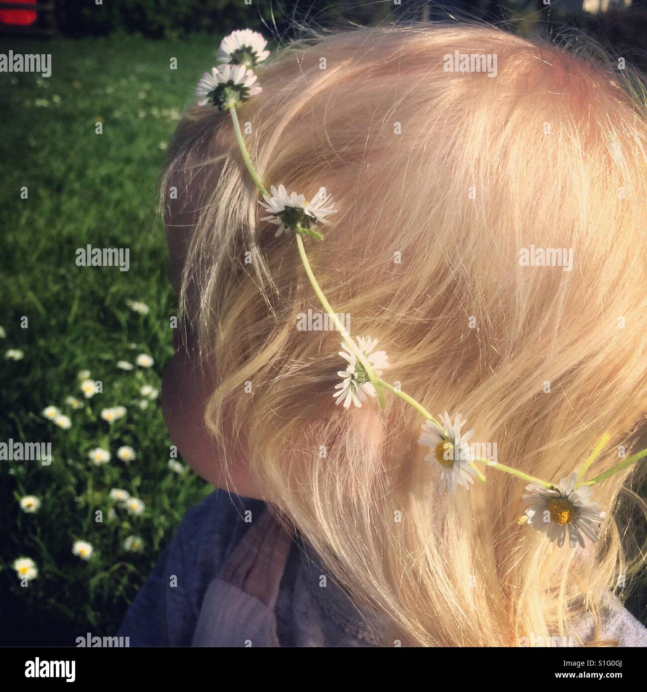 Daisy chain Banque de photographies et d’images à haute résolution - Alamy