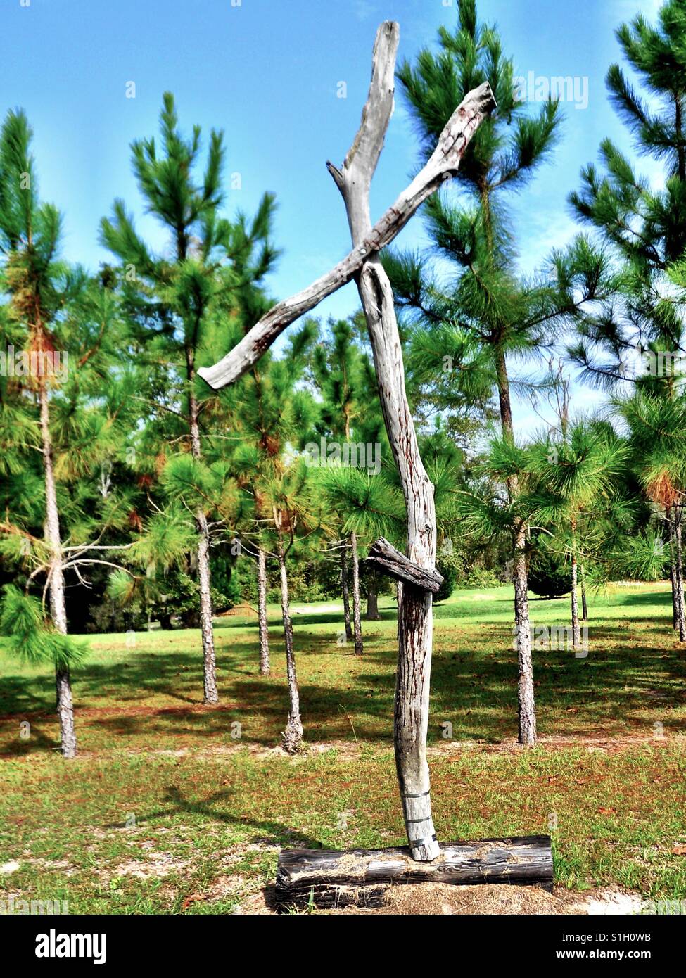 Croix d'arbre Banque de photographies et d’images à haute résolution ...