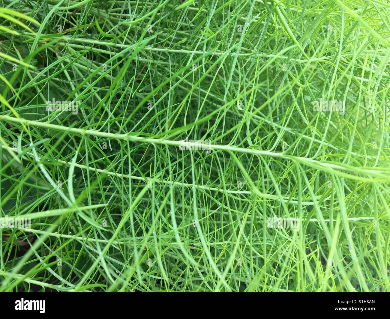 Stockimo photos Banque de photographies et d’images à haute résolution ...