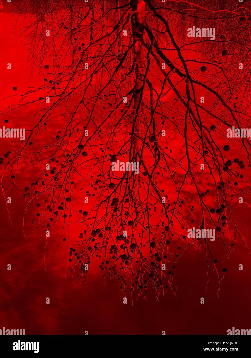 Fond d'écran mobile Banque de photographies et d’images à haute ...