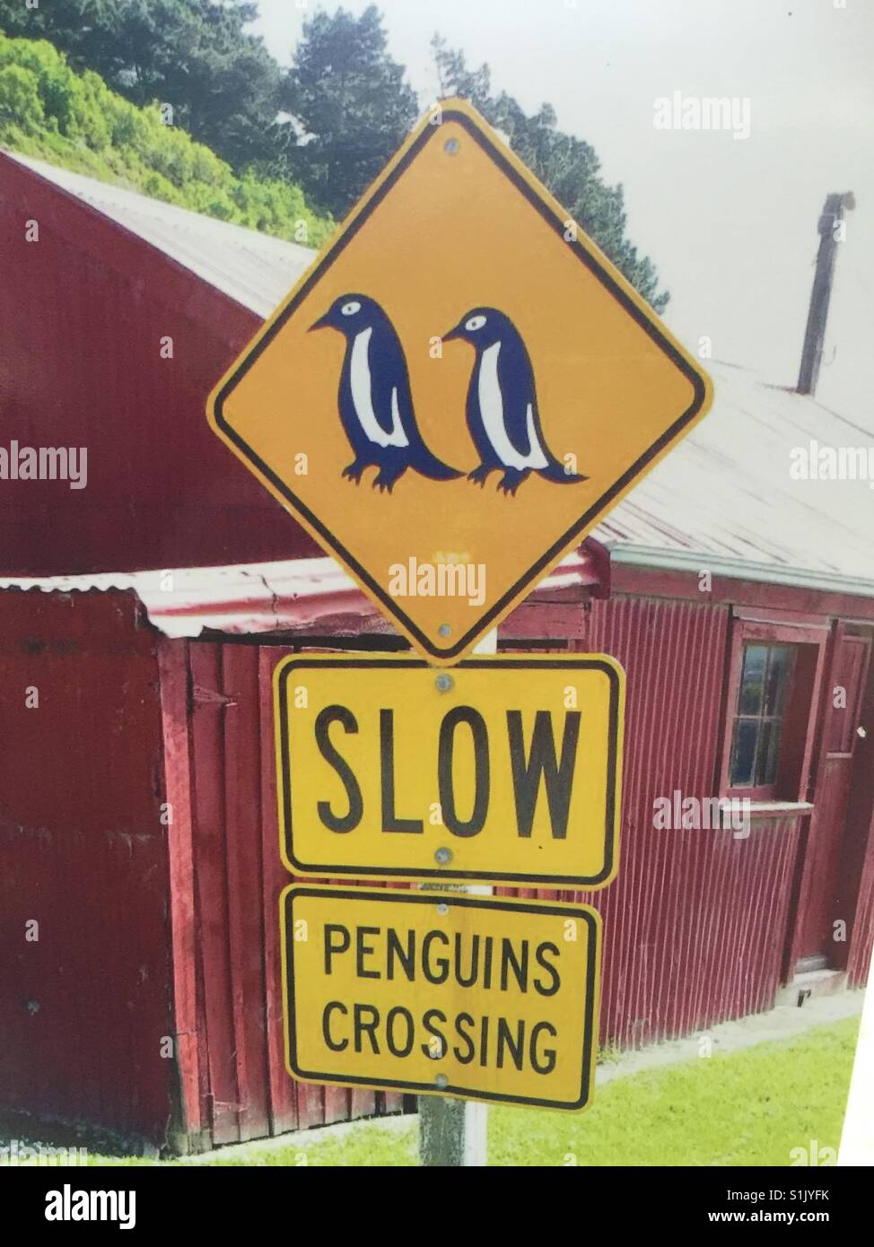 Penguins crossing sign Banque de photographies et d’images à haute ...