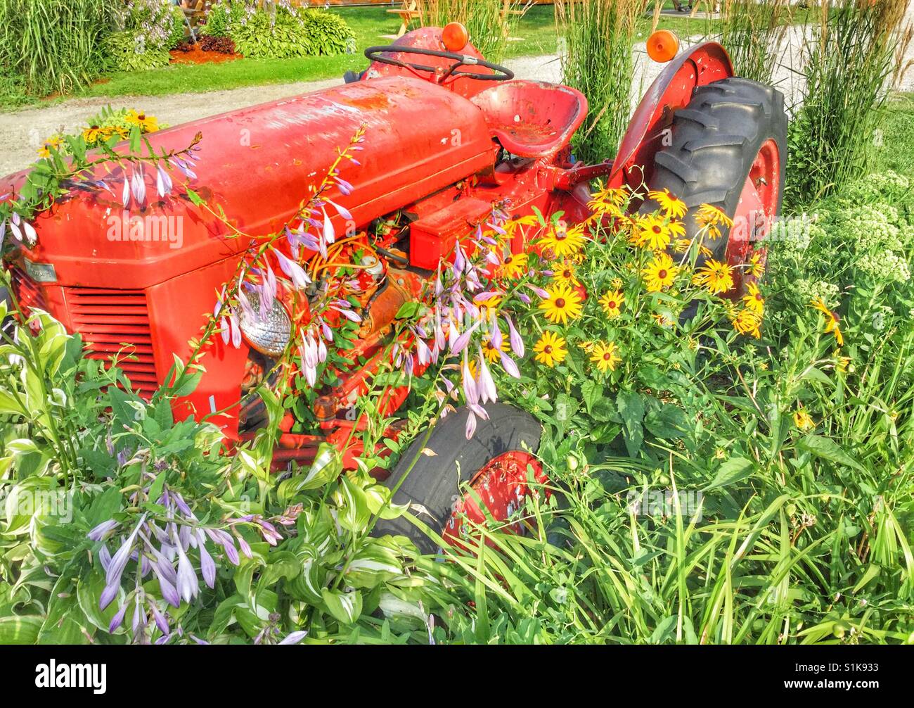Vieux tracteur rouge vif Banque de photographies et d’images à haute ...