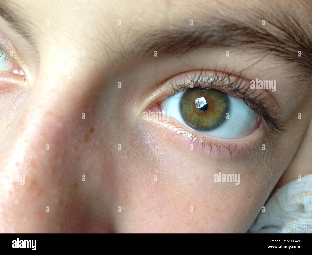 Hazel eye Banque de photographies et d’images à haute résolution - Alamy