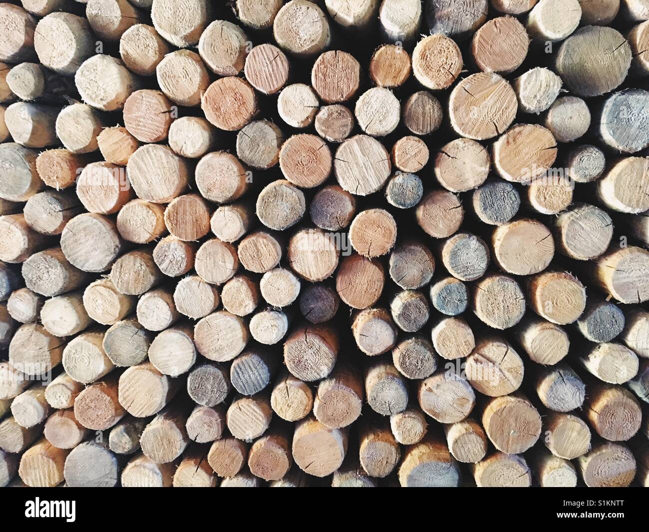 Poteaux en bois ou en bois Banque de photographies et d’images à haute résolution - Alamy