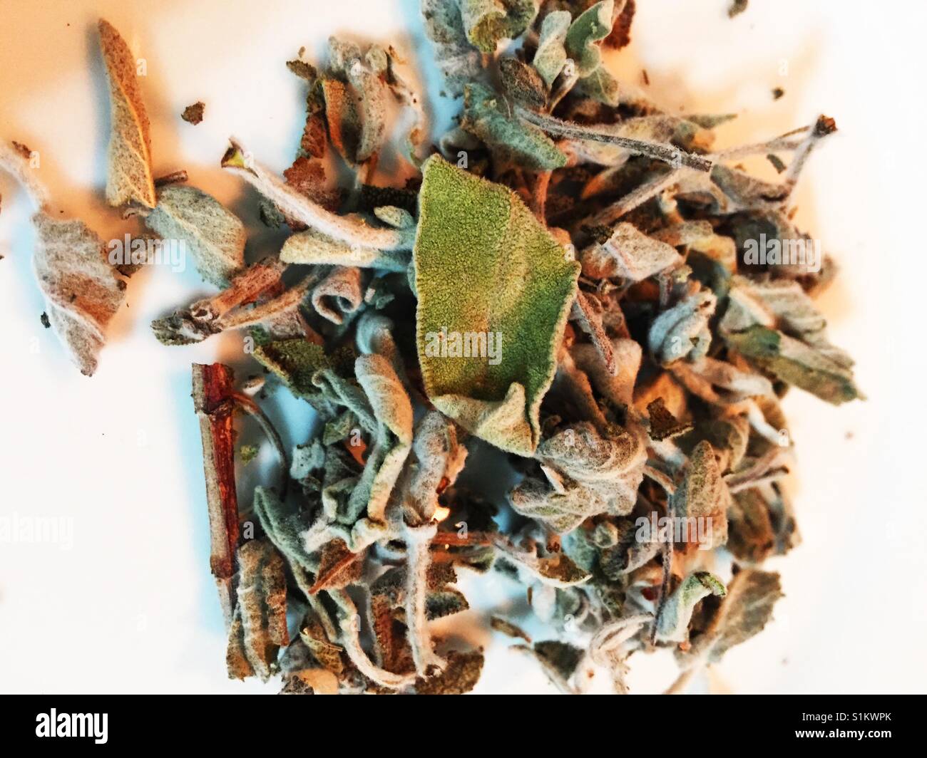 Sauge séchée Banque de photographies et d’images à haute résolution - Alamy