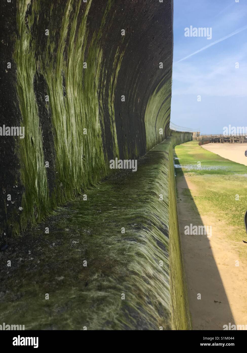 Le overstrand Banque de photographies et d’images à haute résolution ...