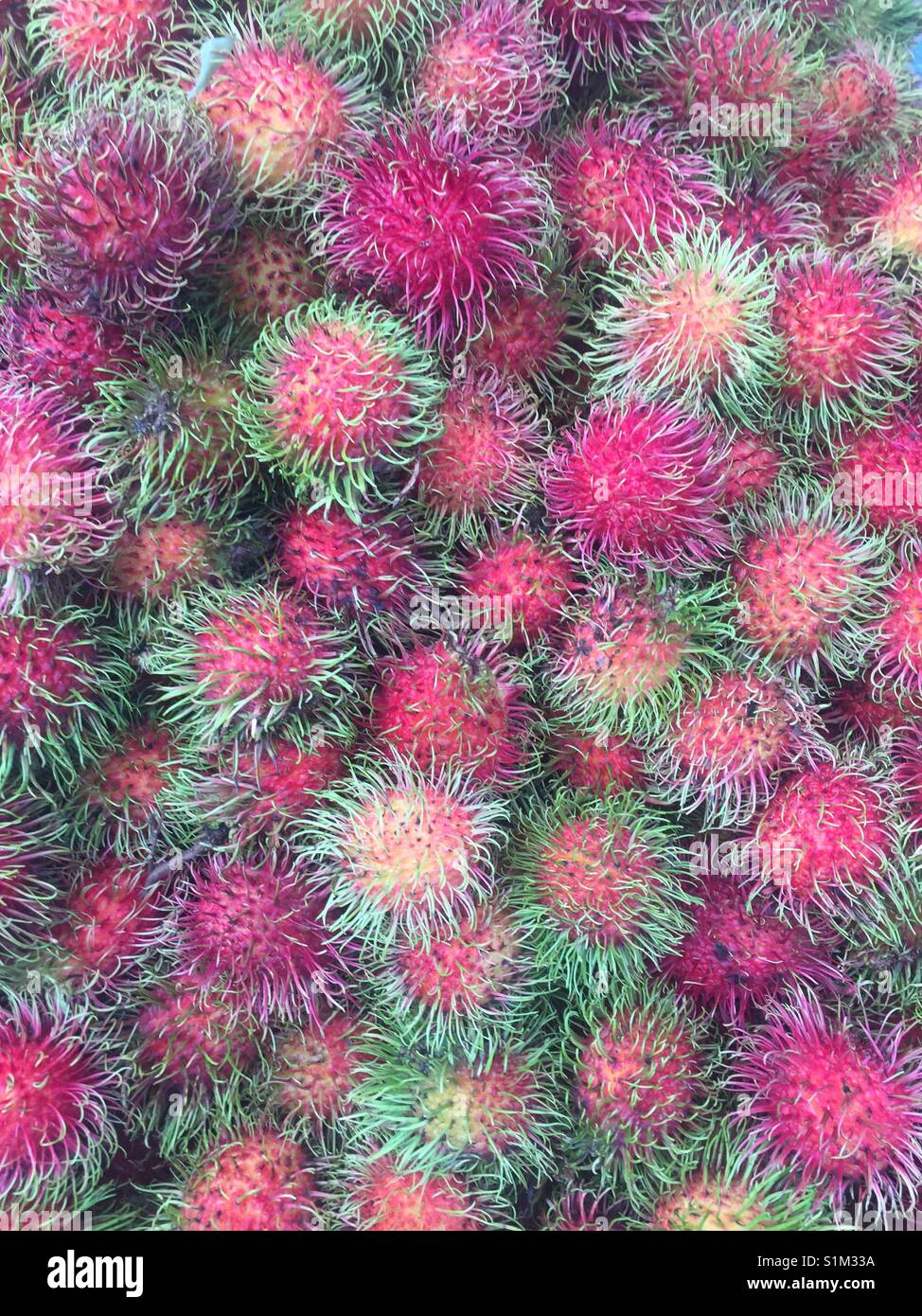 Ramboutan fruit Banque de photographies et d’images à haute résolution ...