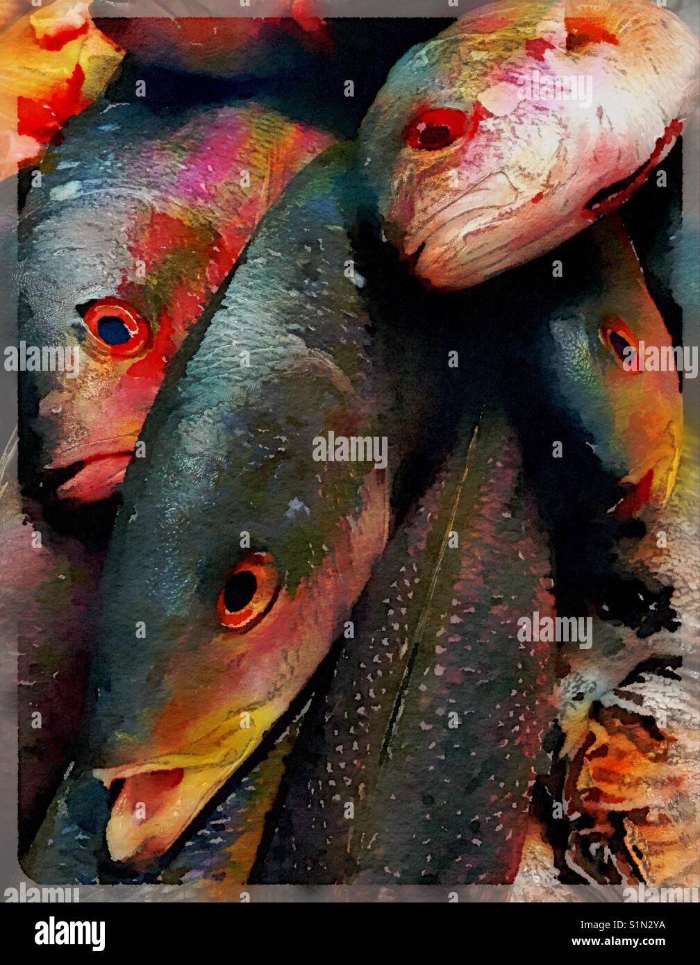 Attraper du poisson frais Banque de photographies et d’images à haute ...