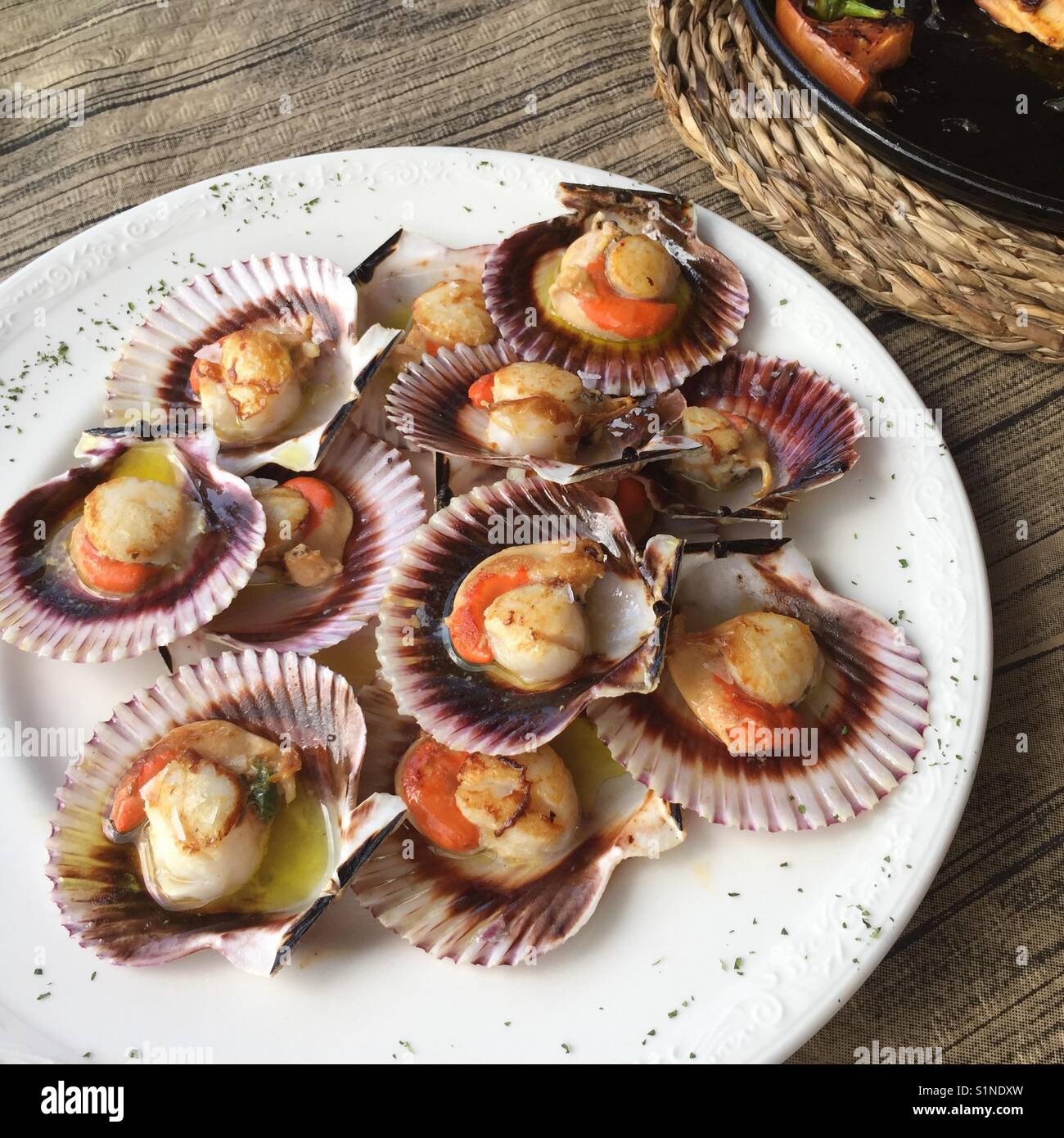 Coquilles saint jacques en coques Banque de photographies et d’images à ...