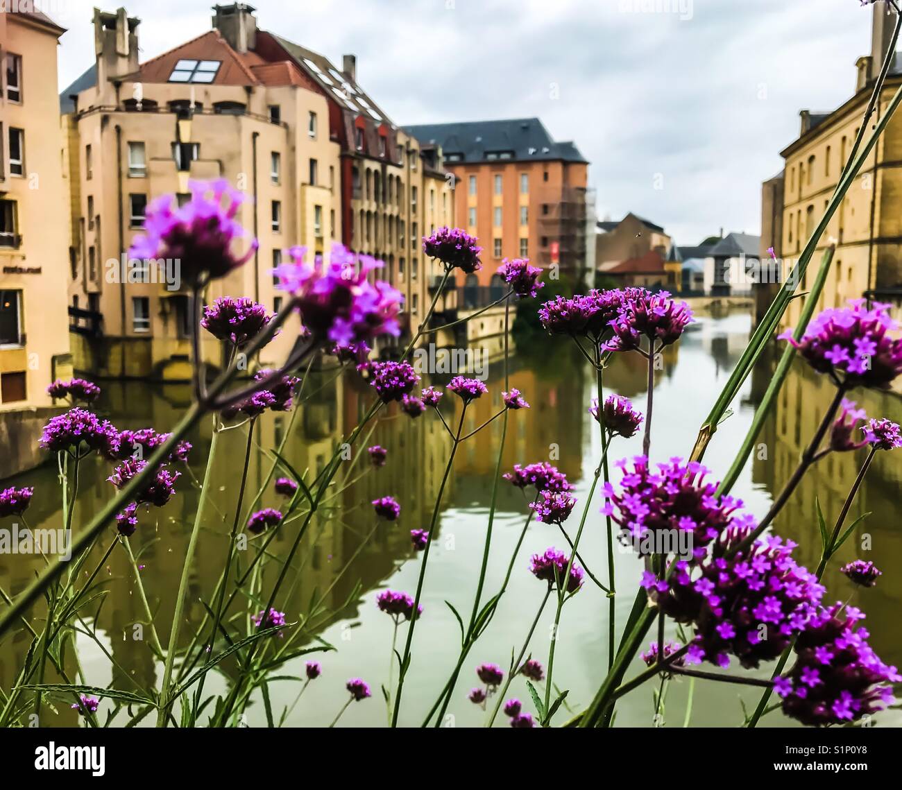 River vesle Banque de photographies et d’images à haute résolution - Alamy